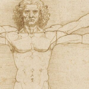 Proportions of the human figure - My Art Lesson