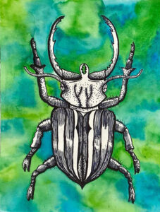Bugs Inspired by Scientific Illustrations - My Art Lesson