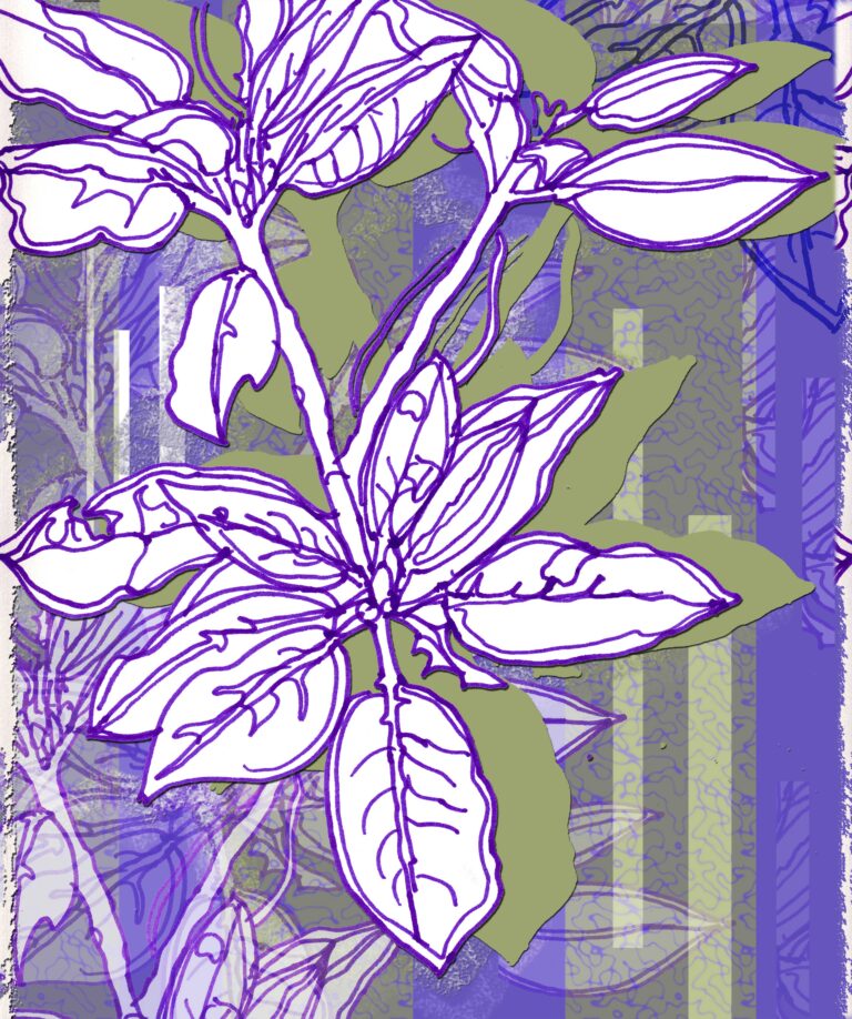 Explorations in Line:Plant Studies - My Art Lesson