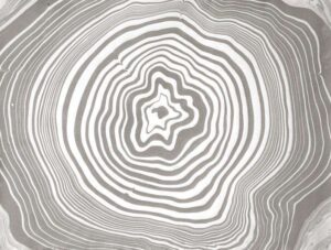 Linear Shells with Suminagashi - My Art Lesson